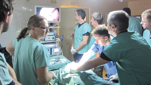 Majitelé zvířat začínají vyžadovat laparoskopické operace | Braunoviny